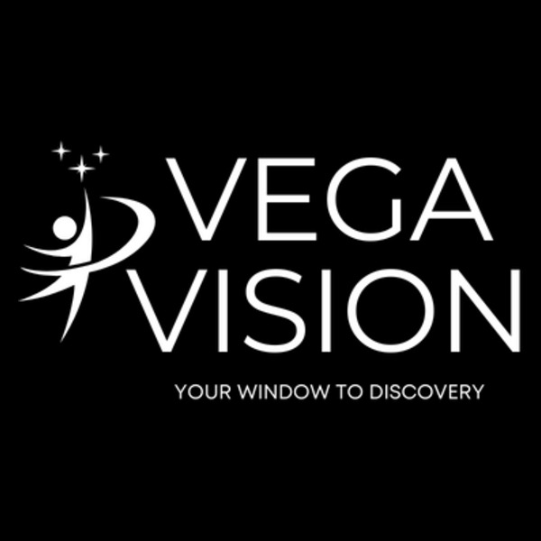 Reviews and experiences about Vega Vision in 2025